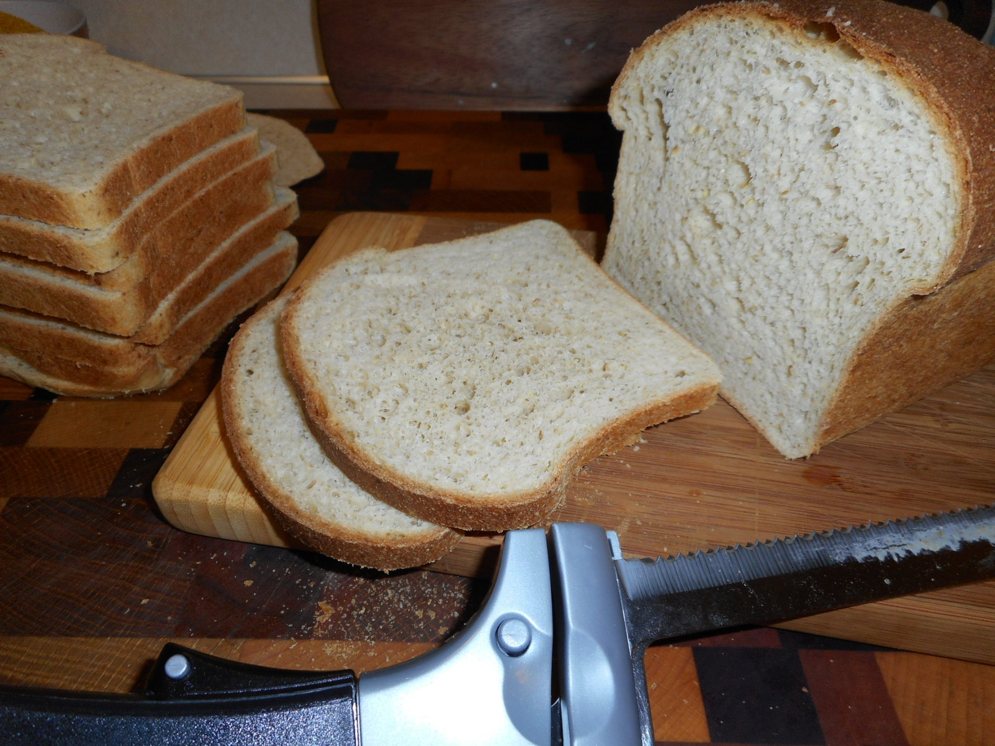 Low Carb Carbalose Bread - Diabetic Chef's Recipes